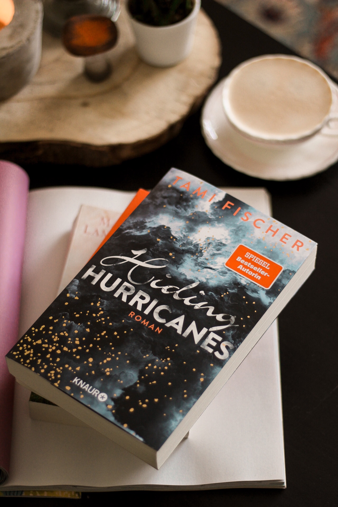 Hiding Hurricanes, Tami Fischer - Fletcher - Sinnessuche